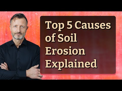 Top 5 Causes of Soil Erosion Explained