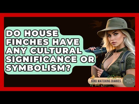 Do House Finches Have Any Cultural Significance Or Symbolism? - Bird Watching Diaries