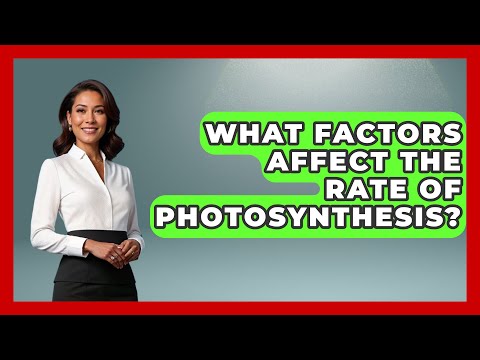 What Factors Affect The Rate Of Photosynthesis? - The Plant Enthusiast