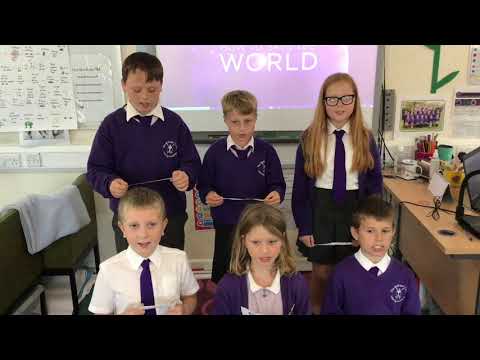 Whipsiderry - Summer Term Topic Outcome