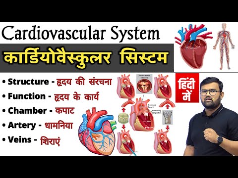Cardiovascular System - हिंदी | Heart | Structure of Heart | Human Heart | Anatomy And Physiology