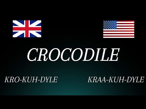 Learn How to Pronounce 'Crocodile'! The Pronunciation Guide (Animal Pronunciation)