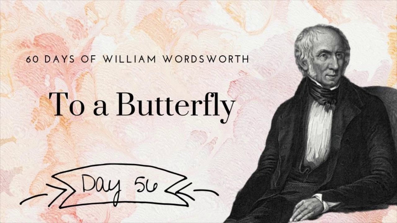 To a Butterfly by William Wordsworth, Day 56 Poetry Reading