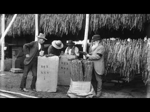5 Awesome Photographs in History