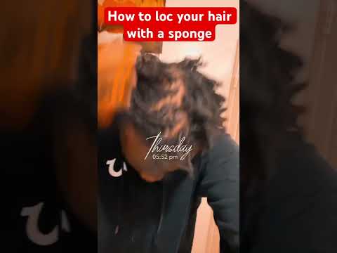 How to loc your hair with a sponge