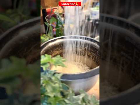 Meal prep #shorts #gharkakhana #mealprep #vegan #vegetarian #food #viralvideo #subscribe #dalmakhani