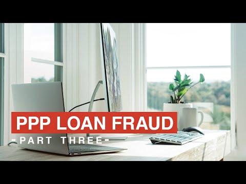 Paycheck Protection Program - PPP Loan - PPP Fraud - Wire Fraud | Amin Law