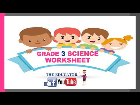 GRADE 3 SCIENCE WORKSHEET PART 3