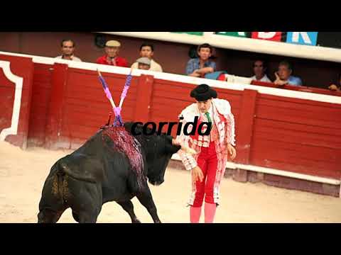 How to say bullfight in Spanish? corrida