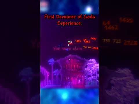First Time Fighting Devourer of Gods Be Like  #calamity #terraria #memes