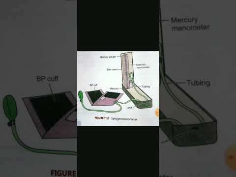part of sphygmomanometer ( BP machine)