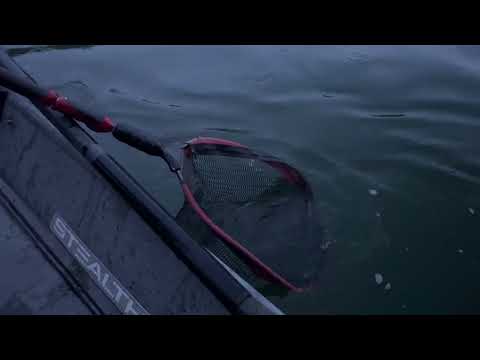 Upper Columbia Evening Release Video