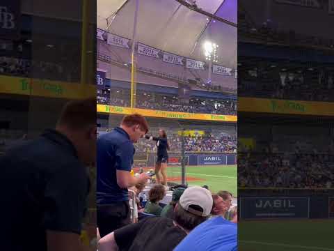 Tampa bay Rays Florida travel 2023