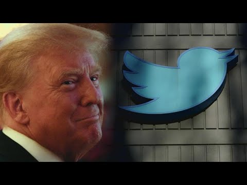 Twitter controversy | Elon Musk reverses Trump's ban from platform