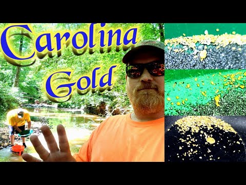 Discovering Hidden Treasures In The Forests Of North Carolina: Gold Mining Adventure!