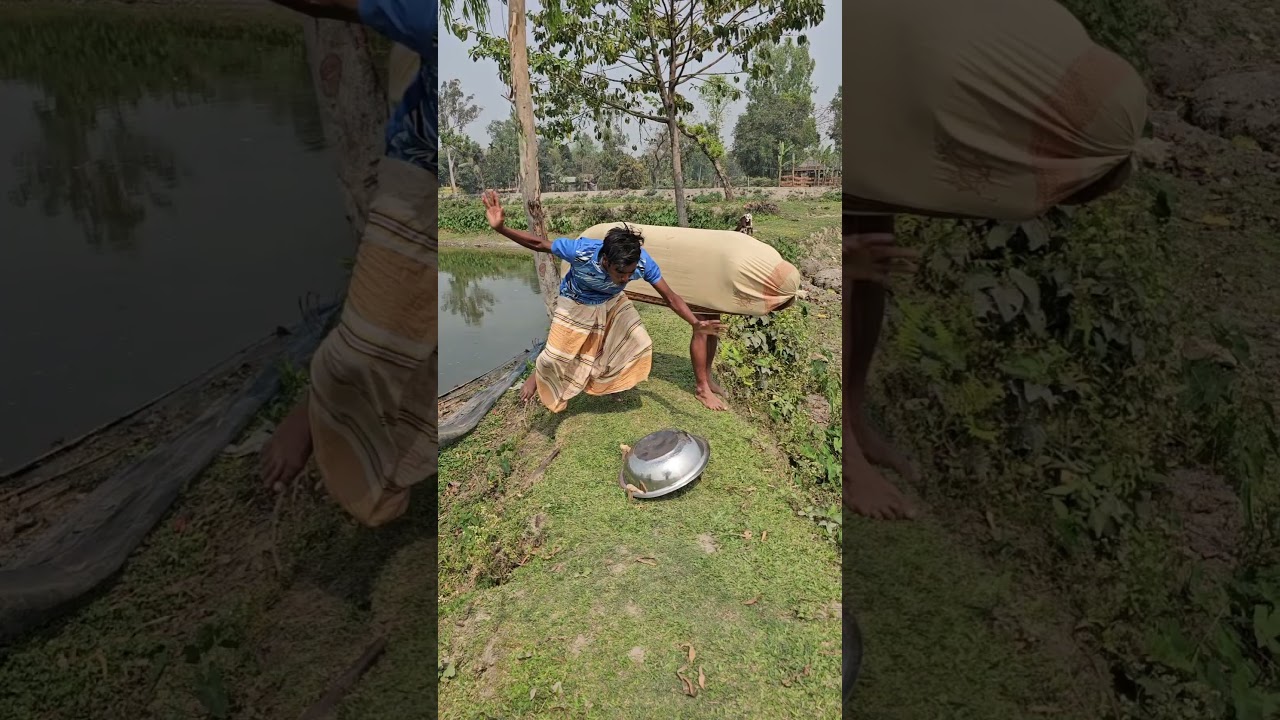 A cow came1768 #funny