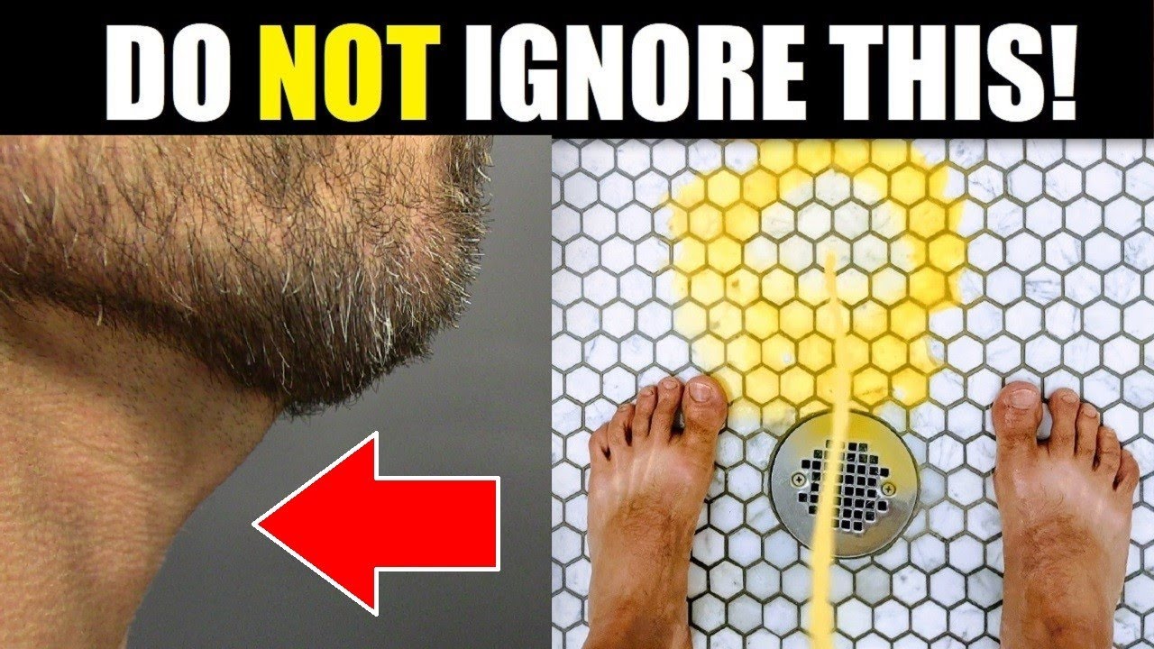 Alpha M – Men's Lifestyle Coach for Style, Grooming, and Fitness