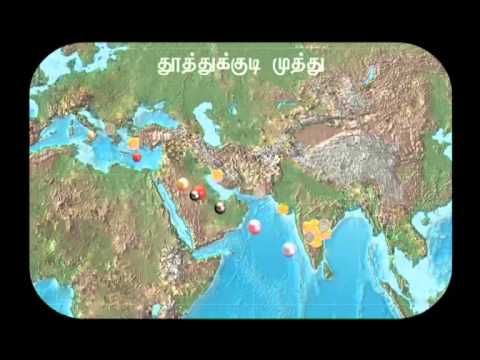 Films in Other Languages - 1 - Tamizhagam Oru Vaibhavam