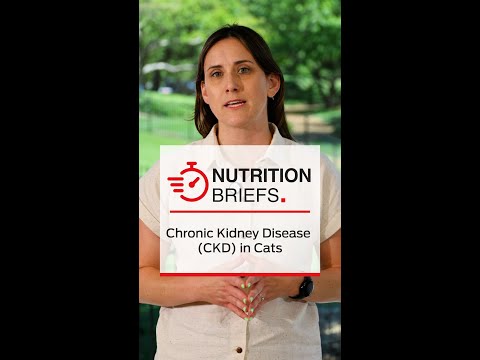 Nutrition Briefs - Chronic Kidney Disease (CKD) in Cats - Martha G. Cline, DVM, DACVIM (Nutrition)
