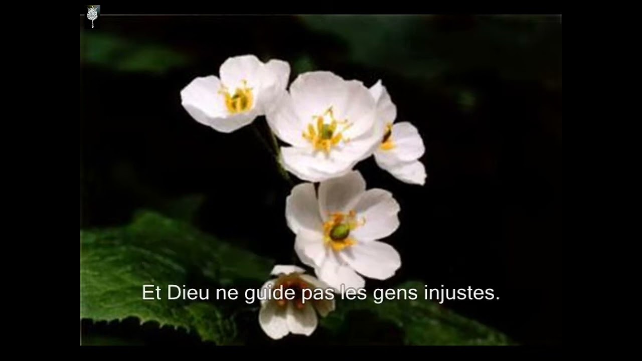 61 Sourate Le rang As Saff Saad Al Ghamidi