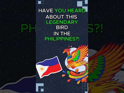 This Legendary Filipino Bird Has a Hidden Meaning 🐓🌈🇵🇭