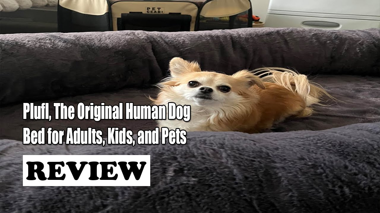 Review Plufl, The Original Human Dog Bed for Adults, Kids, and Pets 2024