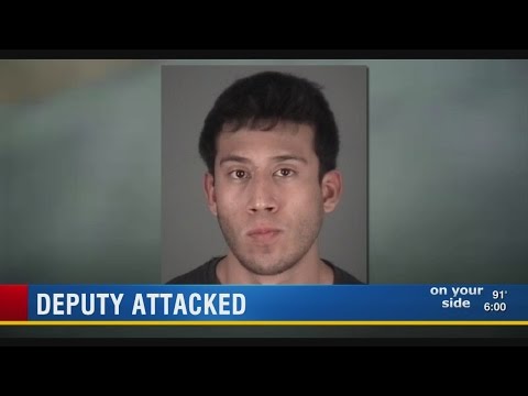 Veteran helps Pasco deputy take down man accused of punching officer