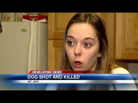 Owner cited after shooting dog at park