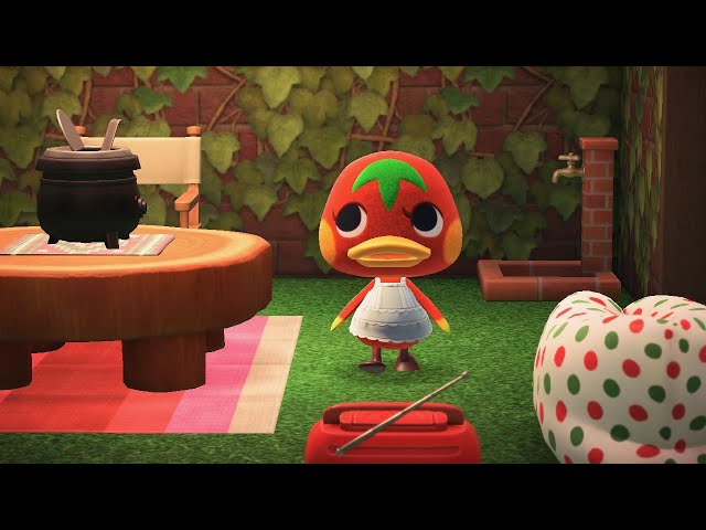 Ketchup in Animal Crossing: How to Get, Appearance, Roles