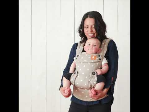 Explore Baby Carrier - Sleepy Dust (Forward Facing)