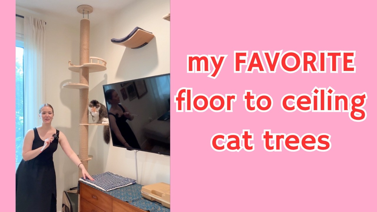 I got 3 AMAZING Bedoo floor to ceiling cat trees - up to 119 inches!