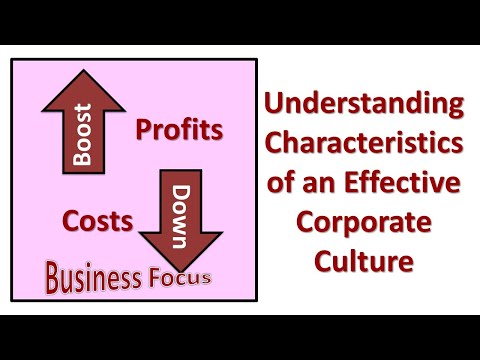Understanding Characteristics of an Effective Corporate Culture