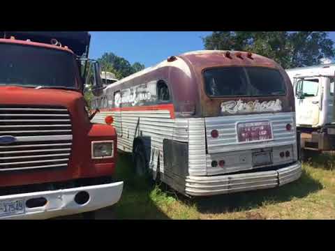 Silversides bus honey hole 3751
