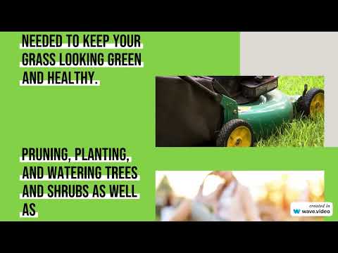 Lawn Care Service Tampa - COMMERCIAL LANDSCAPING TAMPA
