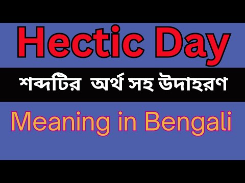 Hectic Day Meaning In Bengali /Hectic Day mane ki