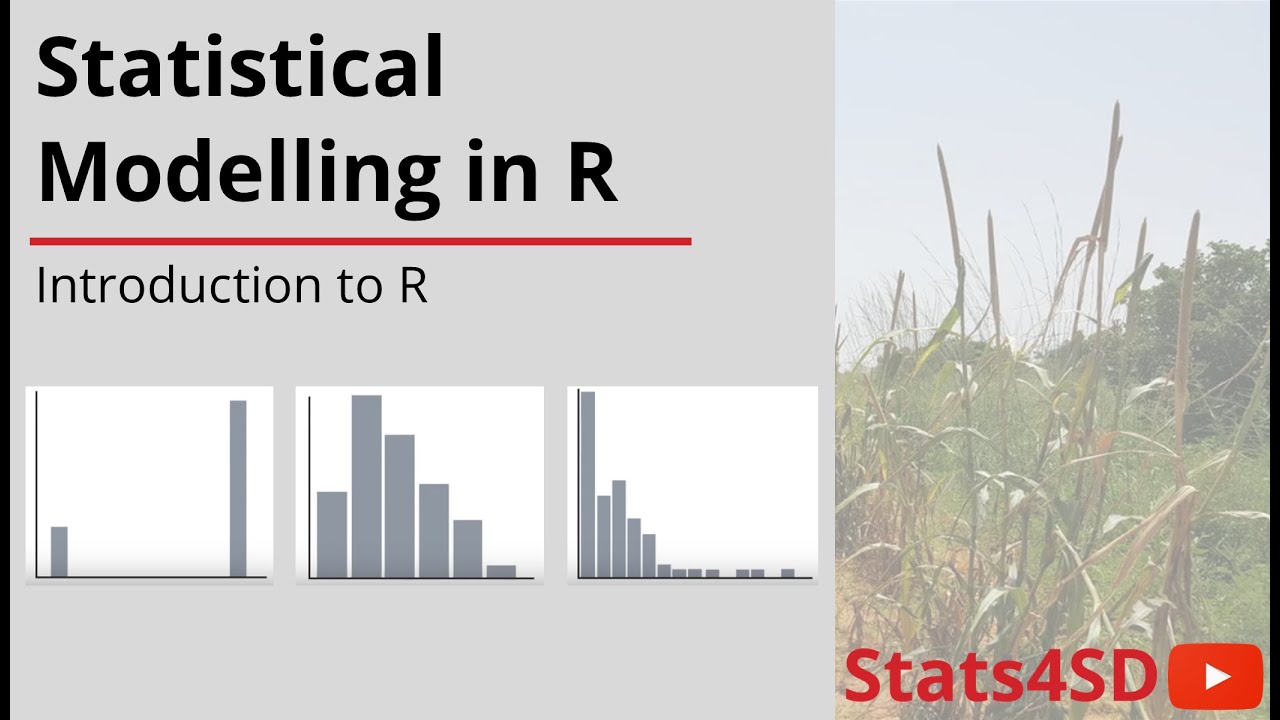 Statistical Modelling in R