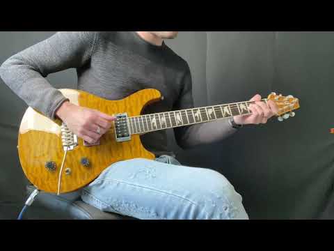 PRS style electric guitar with BIRD INLAYS by Harley | Reverb UK