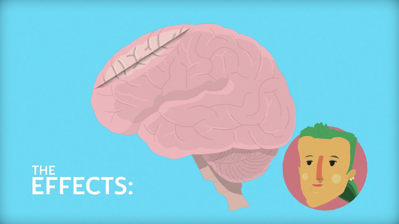 Cannabis and the Endocannabinoid System