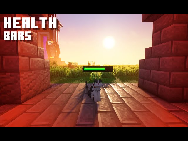 Spryzeen's Health bars Minecraft Texture Pack Spryzeen's Health bars Minecraft Texture Pack