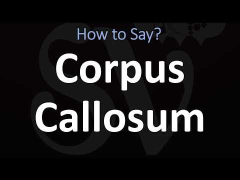 How to Pronounce Corpus Callosum? (CORRECTLY)