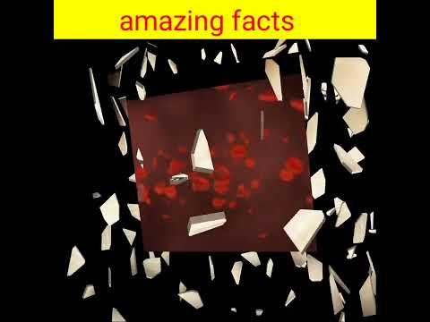 amazing facts in hindi 2023#shorts #ytshorts #viralshorts