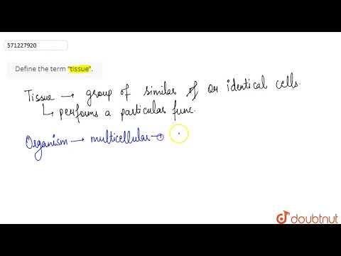 Define the term “tissue”. | 9 | TISSUES | BIOLOGY | NCERT ENGLISH | Doubtnut