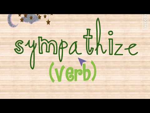 "sympathy" and "sympathize" meaning (with examples)