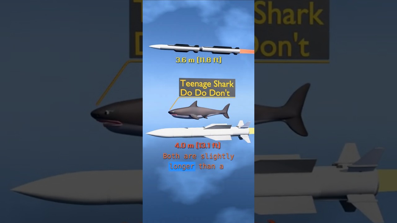 Secret American AIM-260 vs Russian R-37 Missile.😱