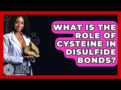 What Is The Role Of Cysteine In Disulfide Bonds? - Science Through Time