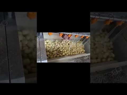 How Are Potatoes Commercially Washed?Potato Skin Peeler