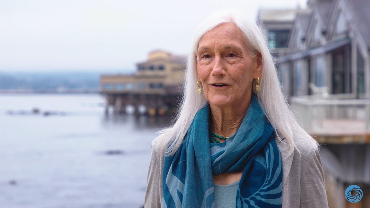 Talking ocean action: Julie Packard and Wendy Schmidt | Monterey Bay ...