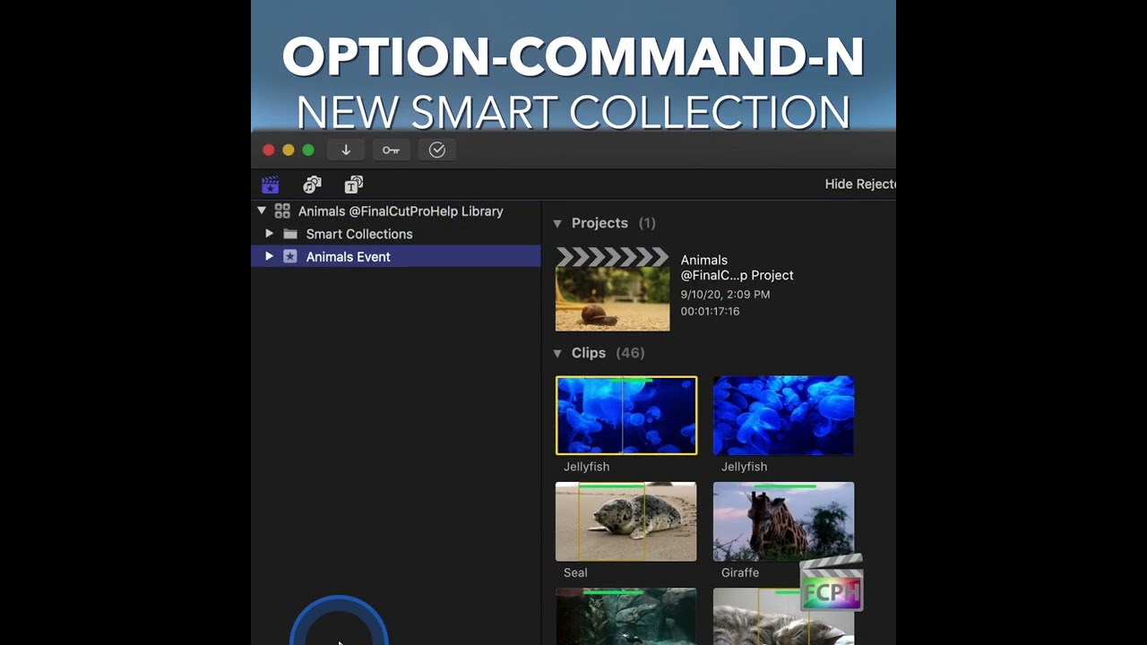 Final Cut Pro Shortcut | Option-Command-N | New Smart Collection
