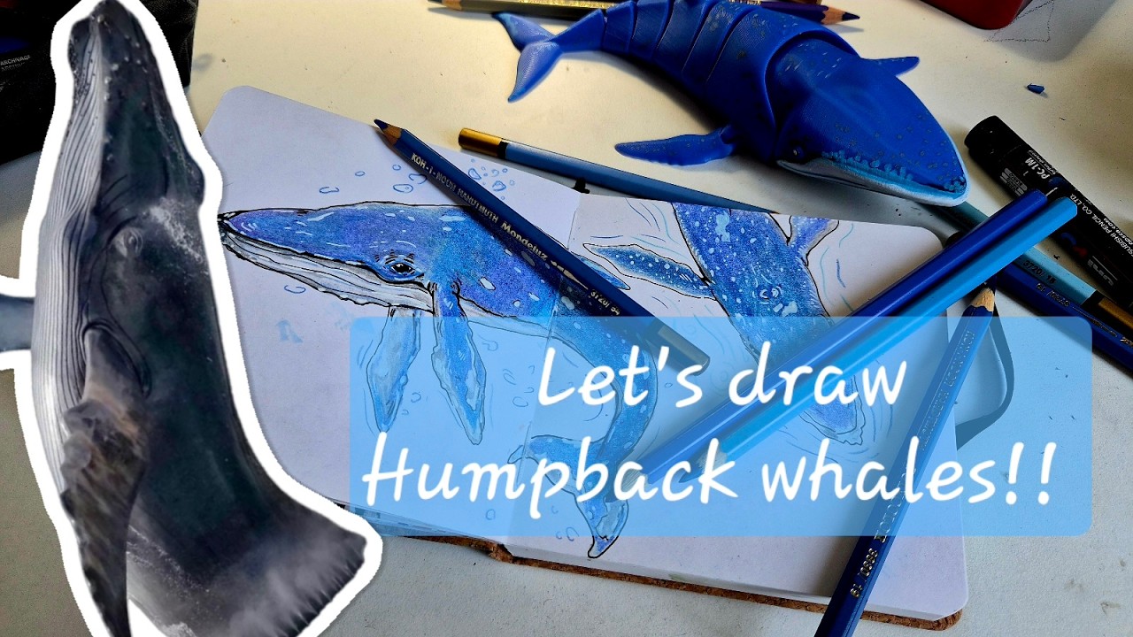 Relax while I Draw Whales  🐋 | Humpback Whales from Imagination | Colored Pencil Art