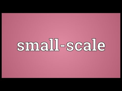 Small-scale Meaning